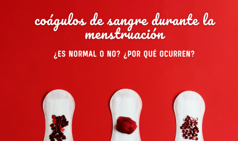 Coágulos en la Menstruación: ¿Son Normales? | Selin App