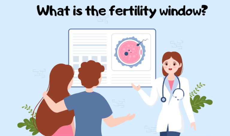 Fertility Window | Calculate Best Days to Conceive| Selin App